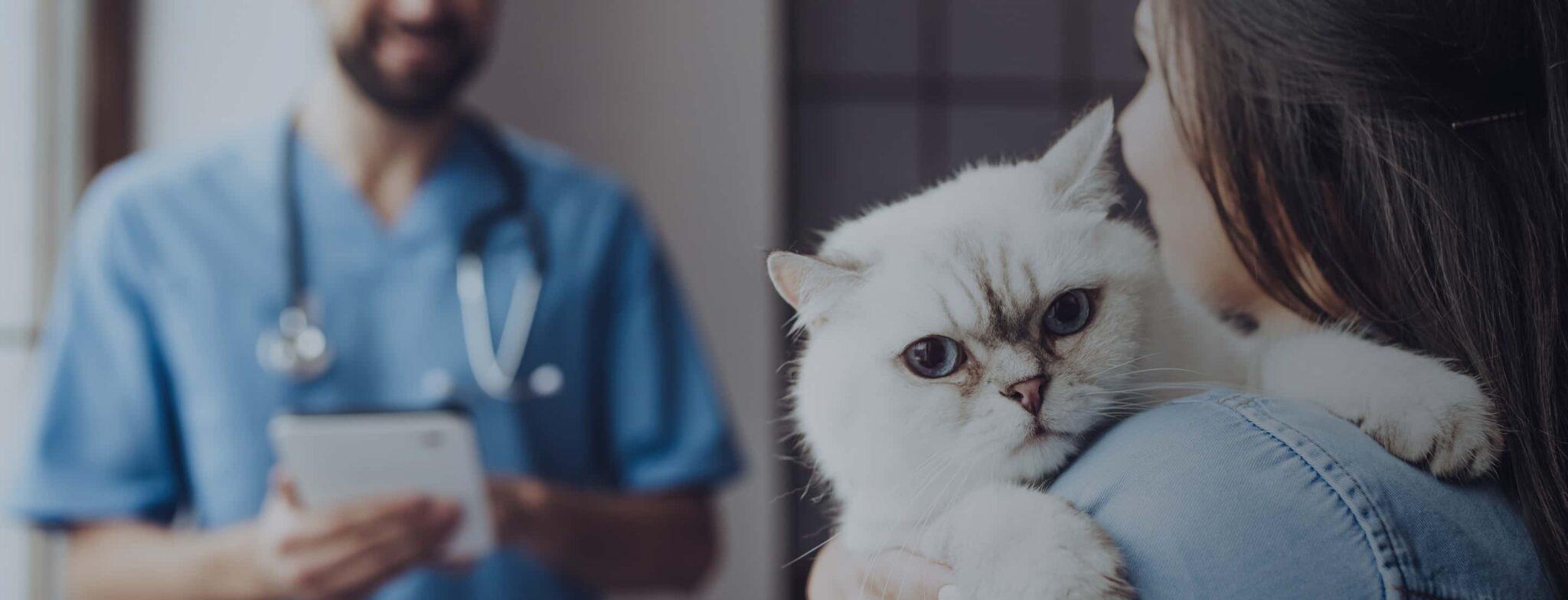 Plan Your First Visit to Our Veterinary Clinic - Stuart Sound Animal ...